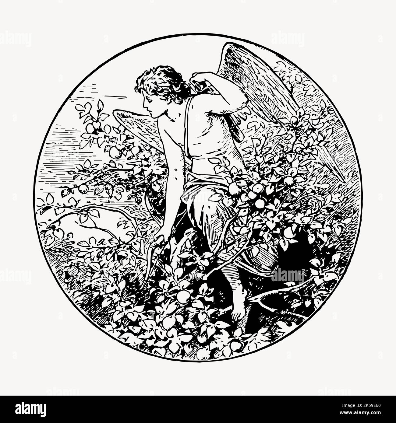 Vintage mythical creature illustration hi-res stock photography and ...