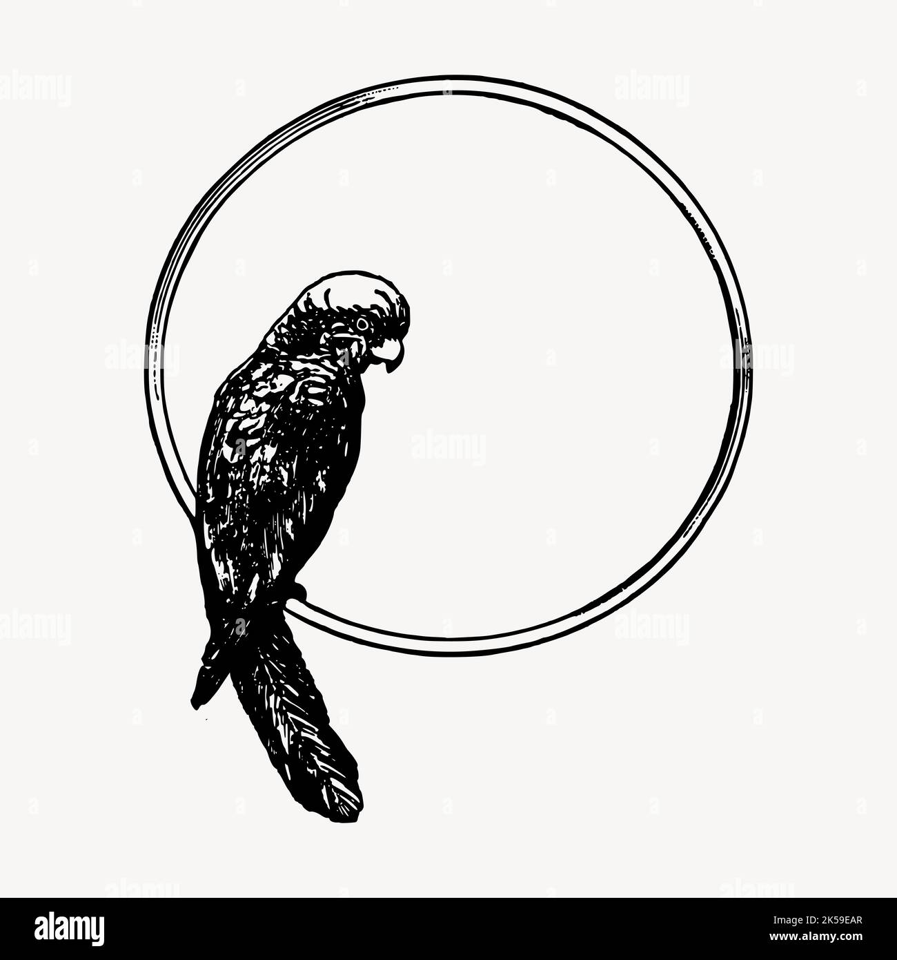 Bird frame clipart Stock Vector Images - Alamy