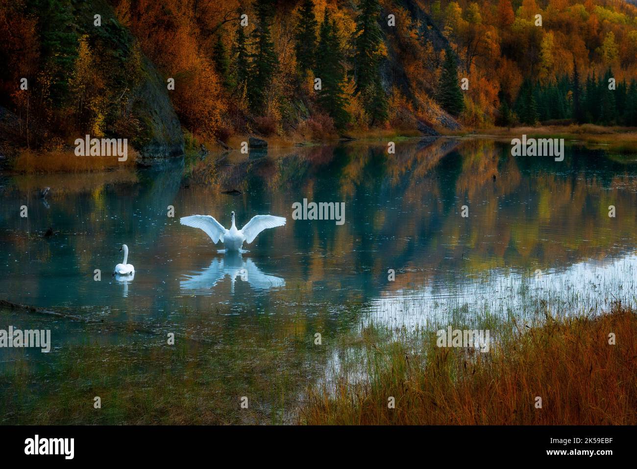 beautiful Glenn Highway Stock Photo - Alamy