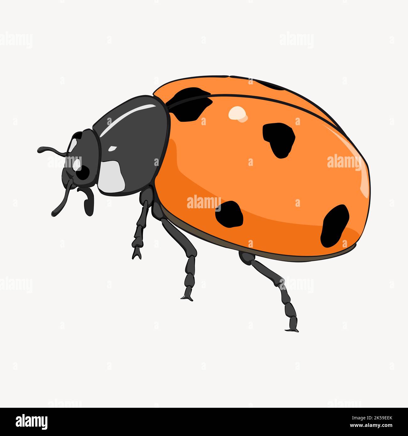 Ladybug clipart, insect illustration vector Stock Vector Image & Art ...