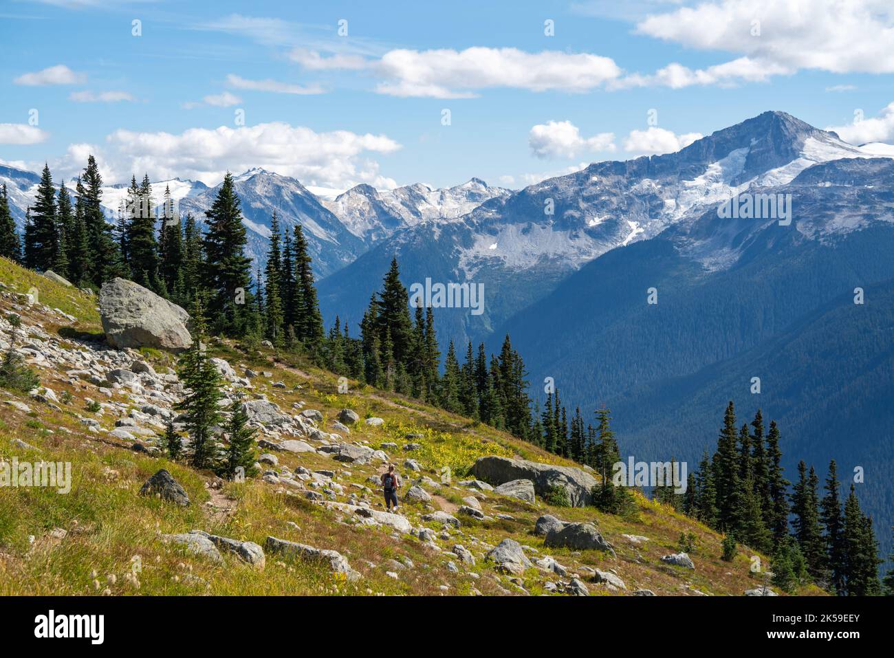 Trekkers traverse the High Note Trail, soaking in the spectacular ...