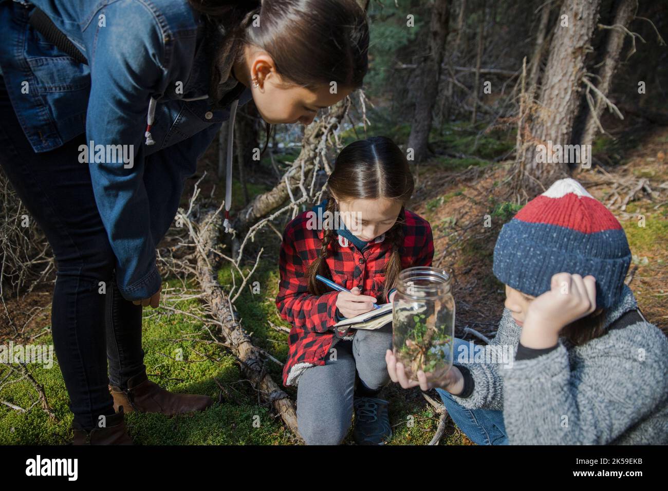 Children and insects hi-res stock photography and images - Alamy