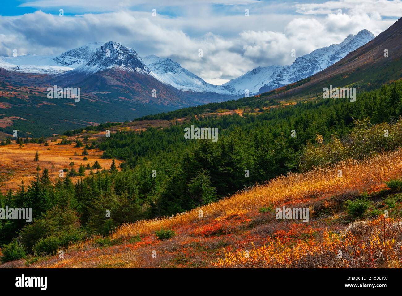 fall in Alaska Stock Photo - Alamy