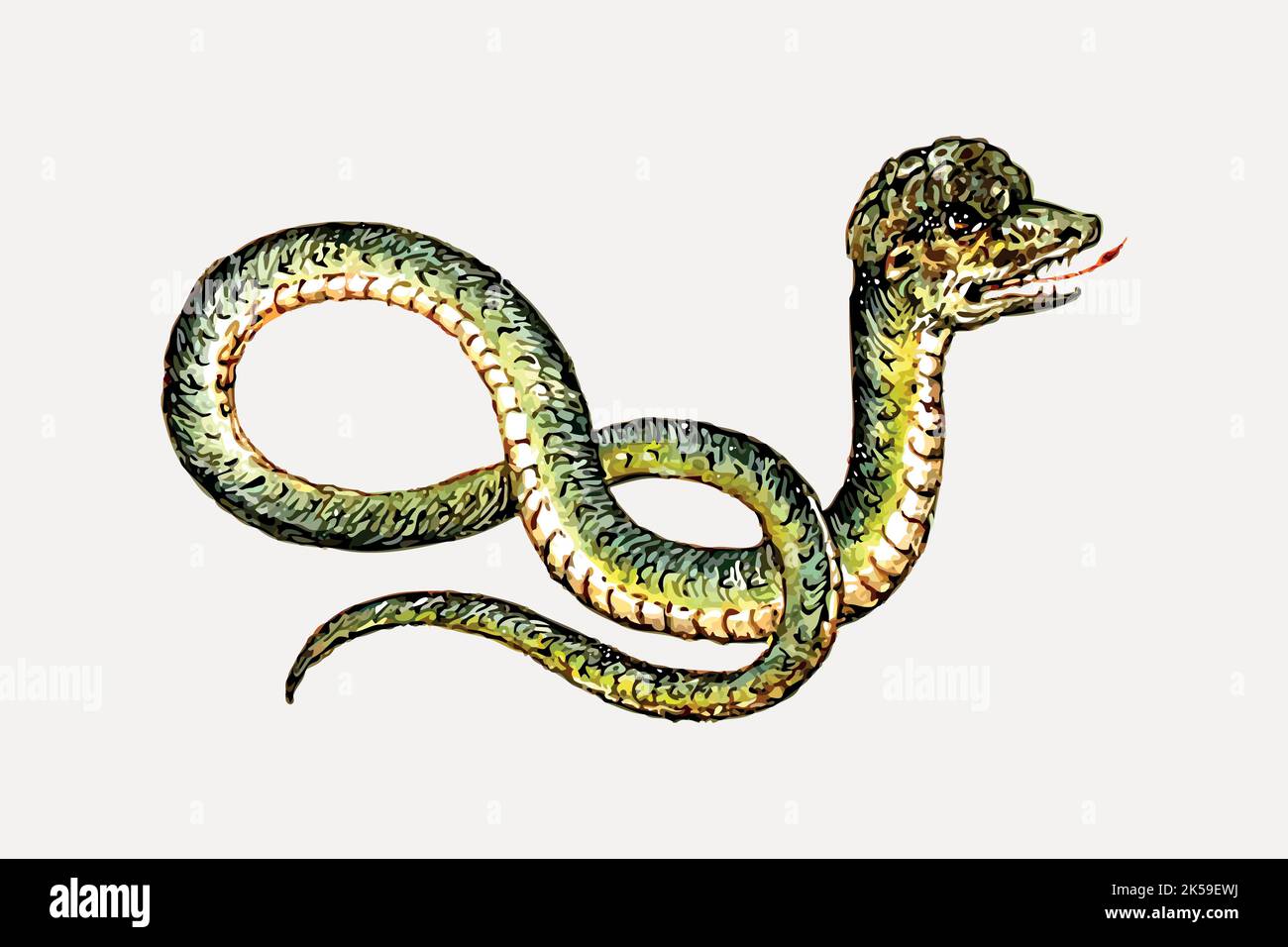 Snake clipart, animal illustration vector Stock Vector Image & Art - Alamy