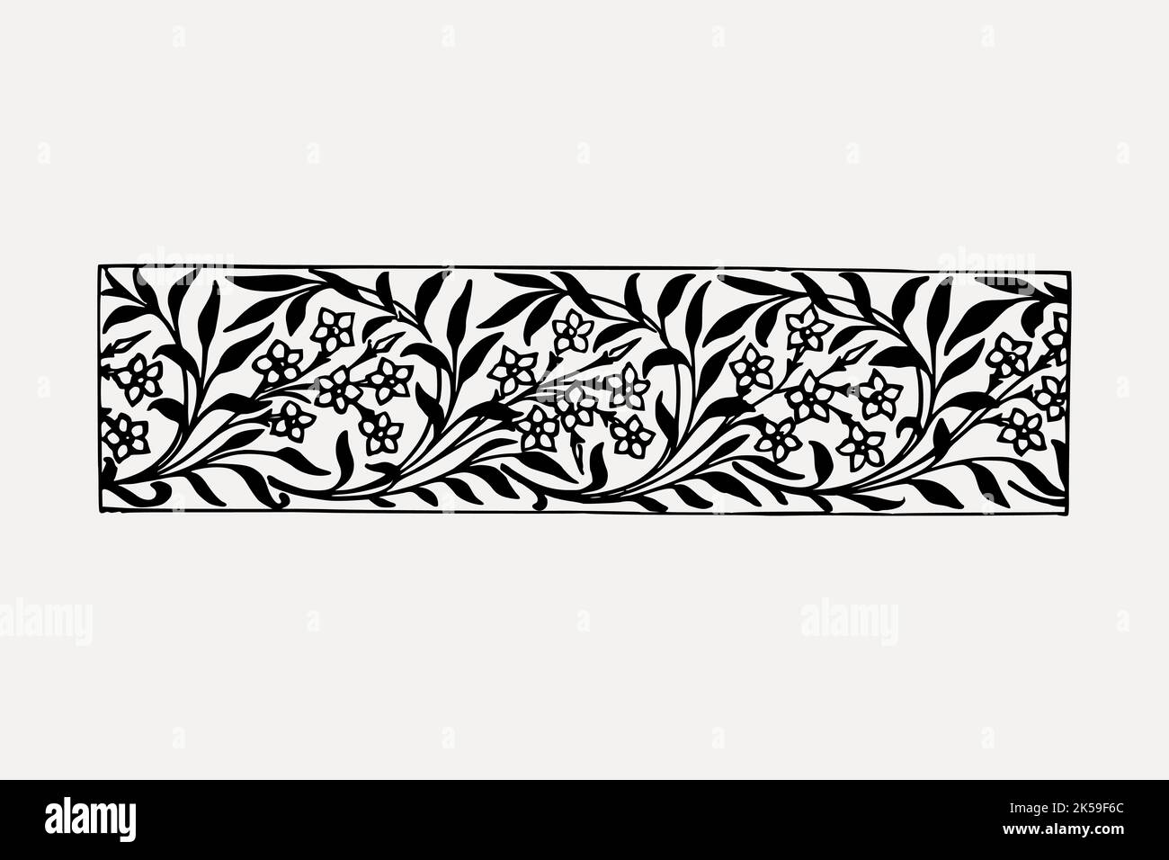 Botanical divider clipart, decorative illustration vector Stock Vector ...