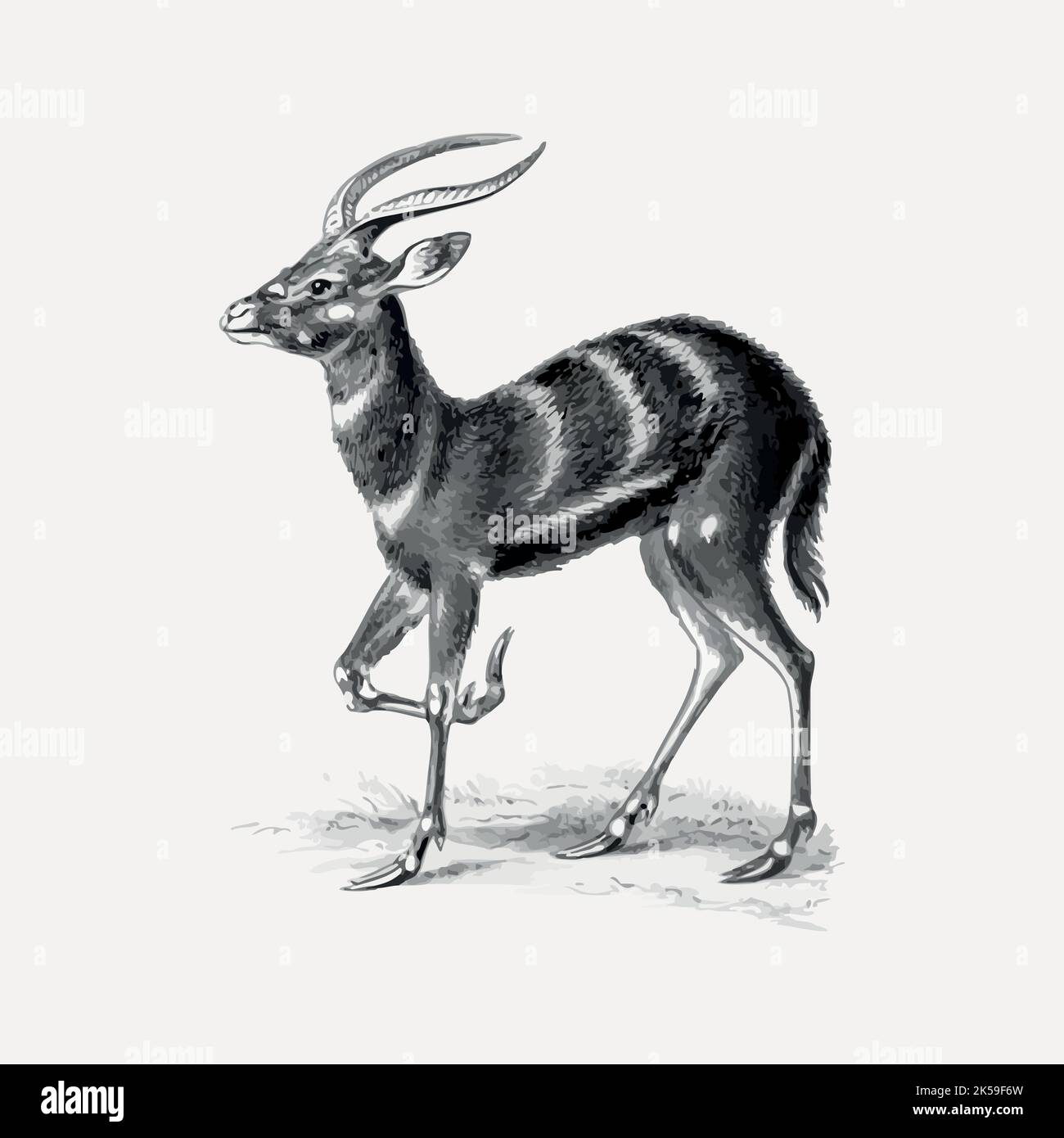 Sitatunga clipart, animal illustration vector Stock Vector Image & Art ...