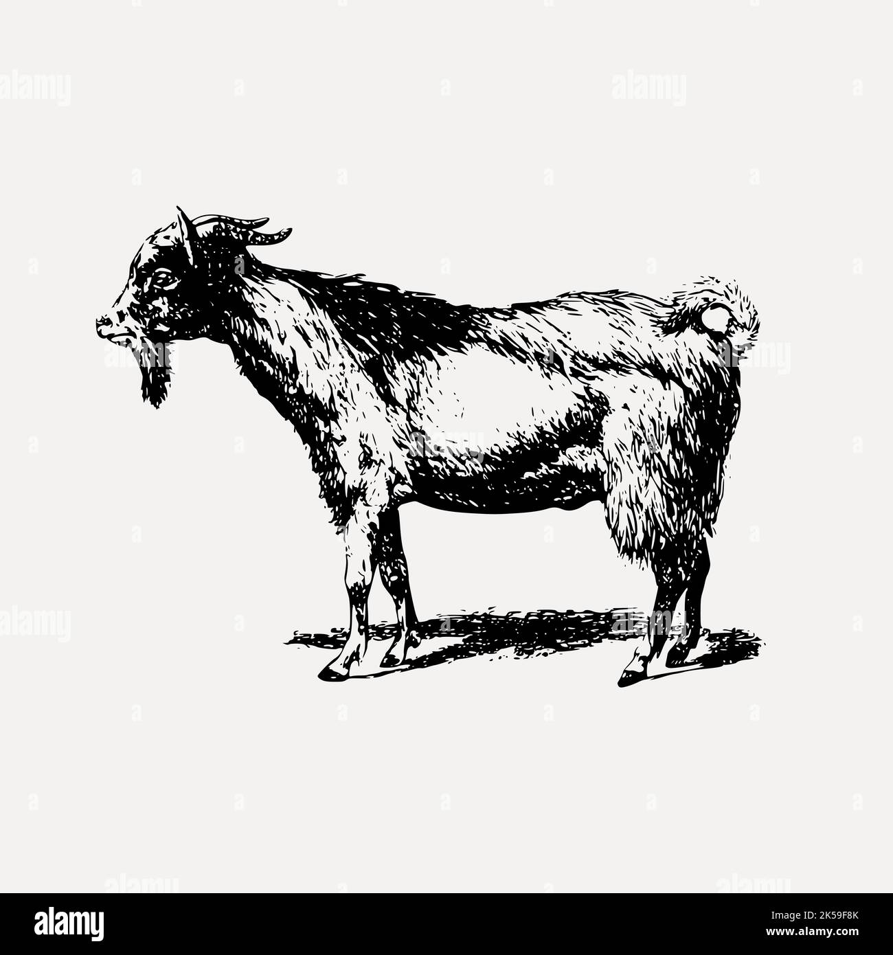Goat clipart, farm animal illustration vector Stock Vector Image & Art ...