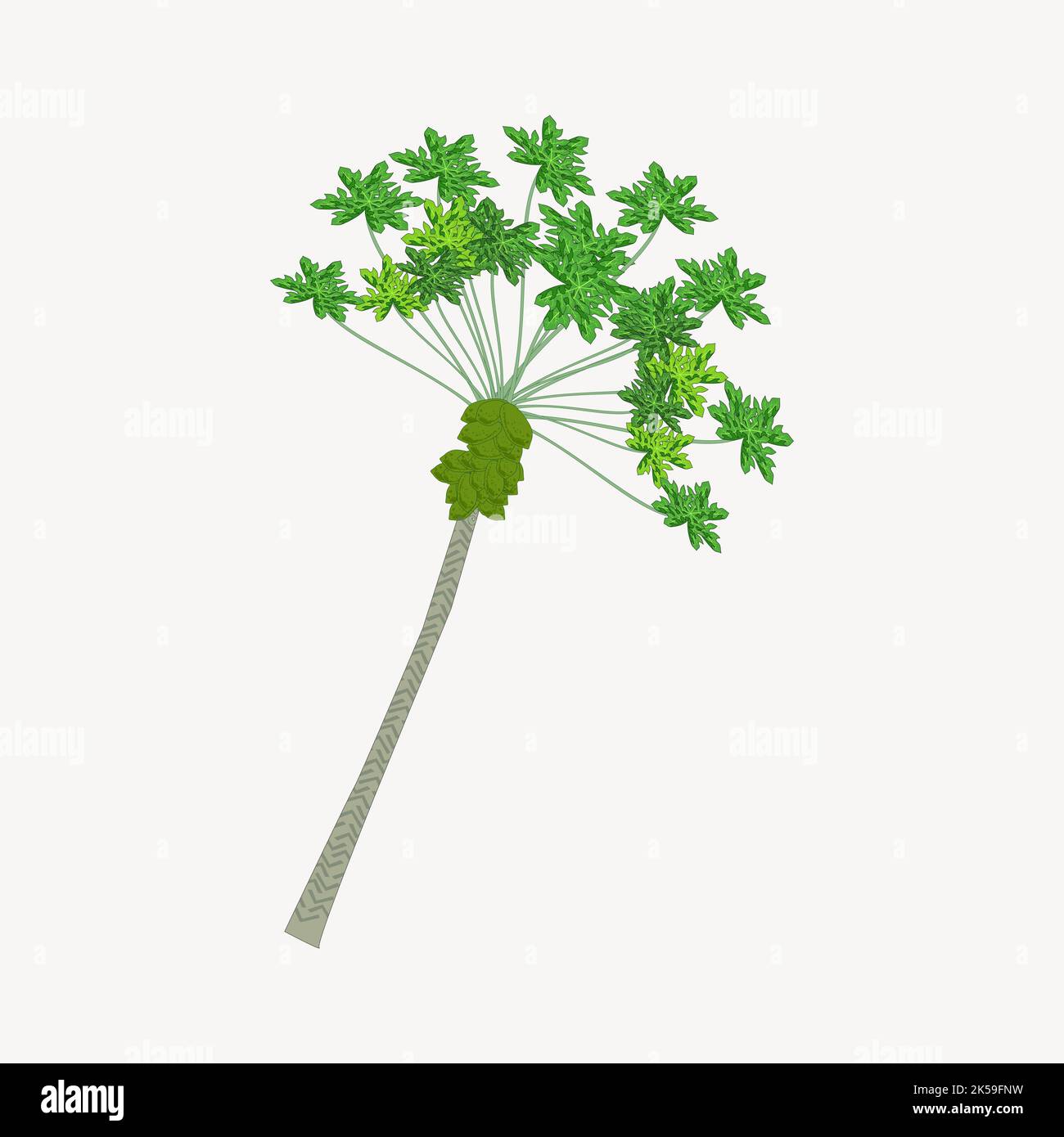 Papaya tree clipart Stock Vector Images - Alamy