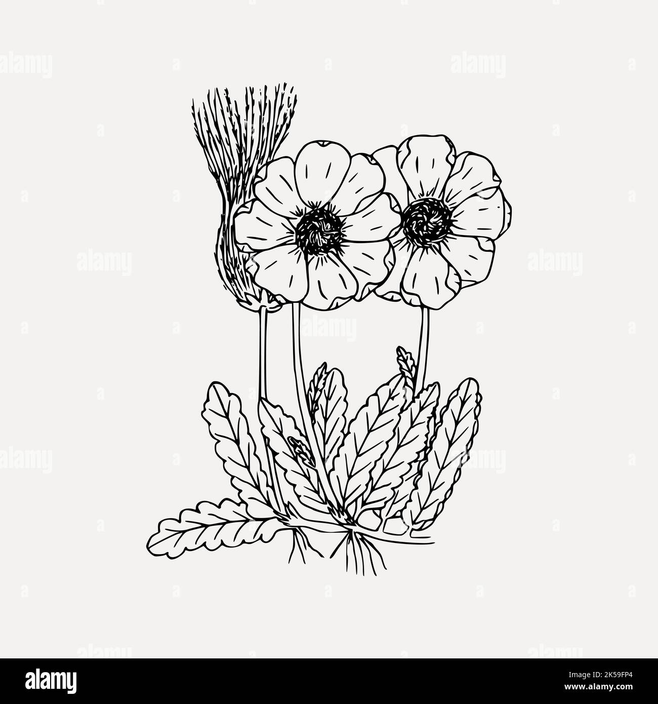 Wildflower drawing, floral illustration vector Stock Vector Image & Art ...