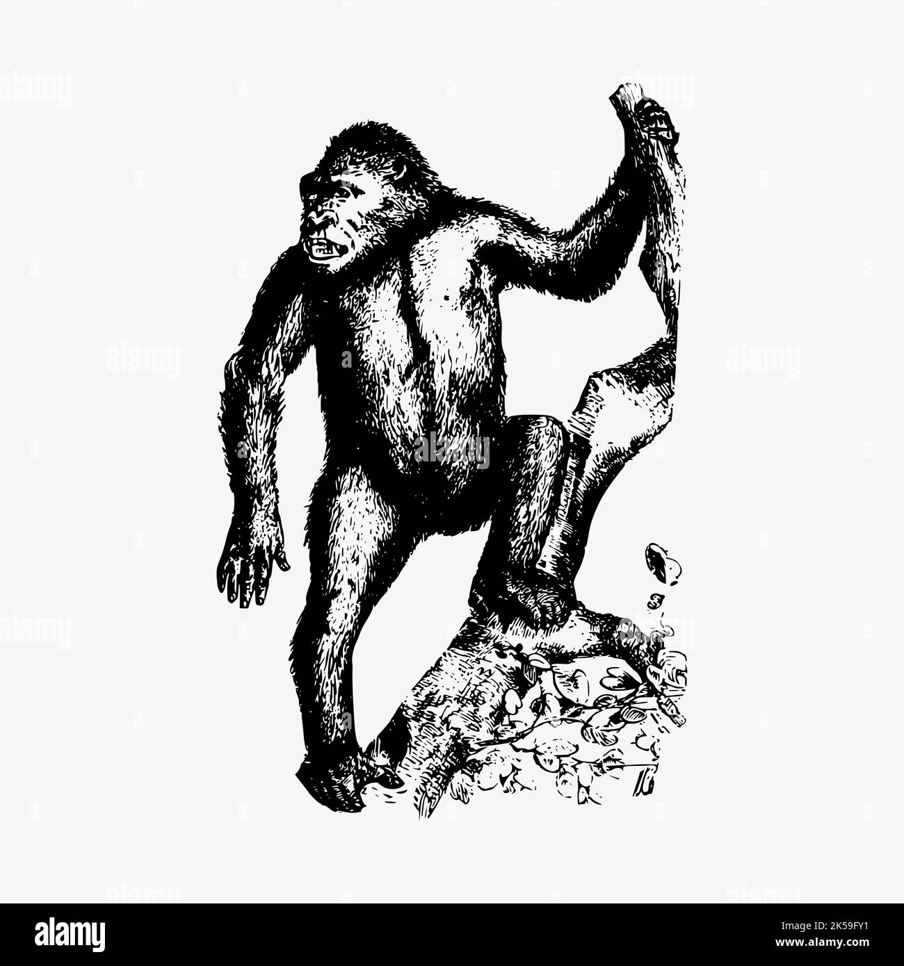 Ape illustration clipart vector Stock Vector Image & Art - Alamy