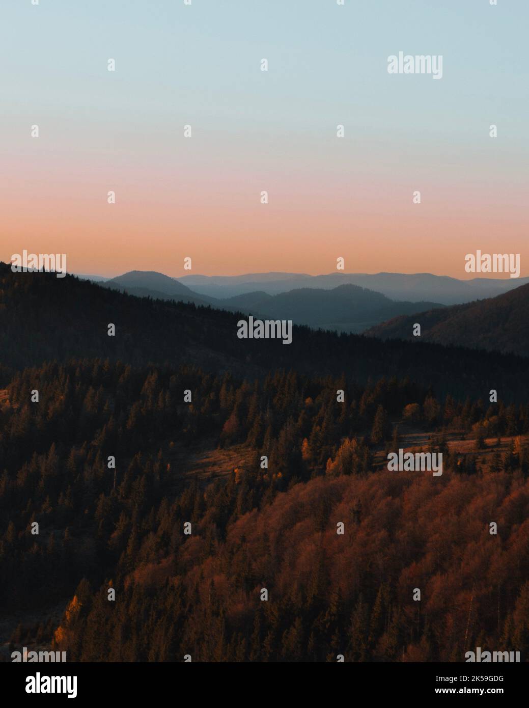 Wood landscape hi-res stock photography and images - Alamy