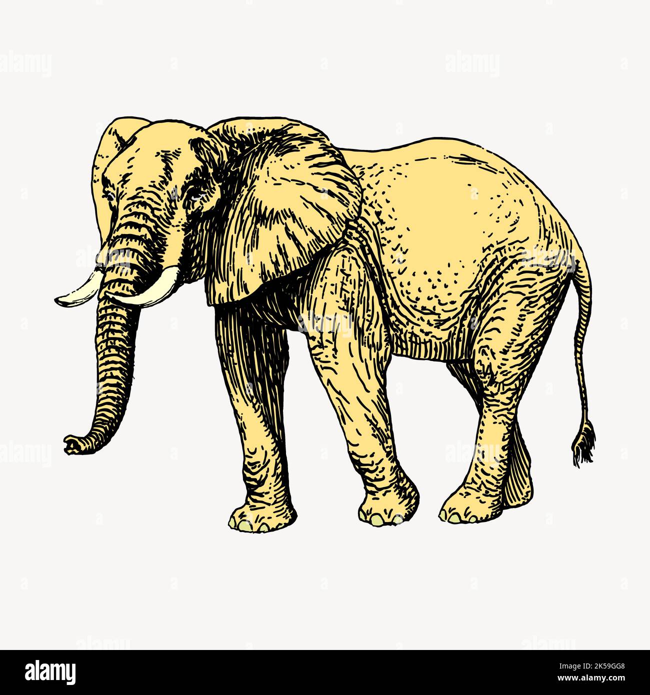 Vintage Elephant Clip Art 13,800+ Elephant Clipart Stock