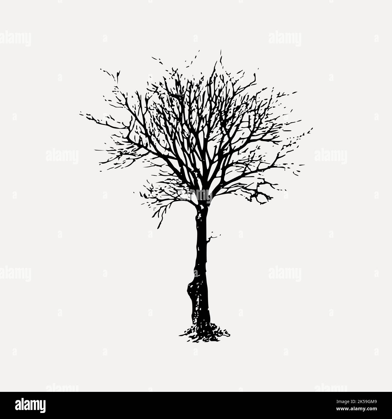 Leafless tree clipart, nature illustration vector Stock Vector Image ...