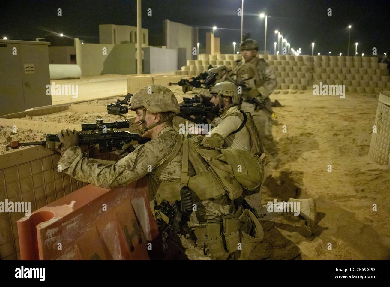 Uae Presidential Guard Logo