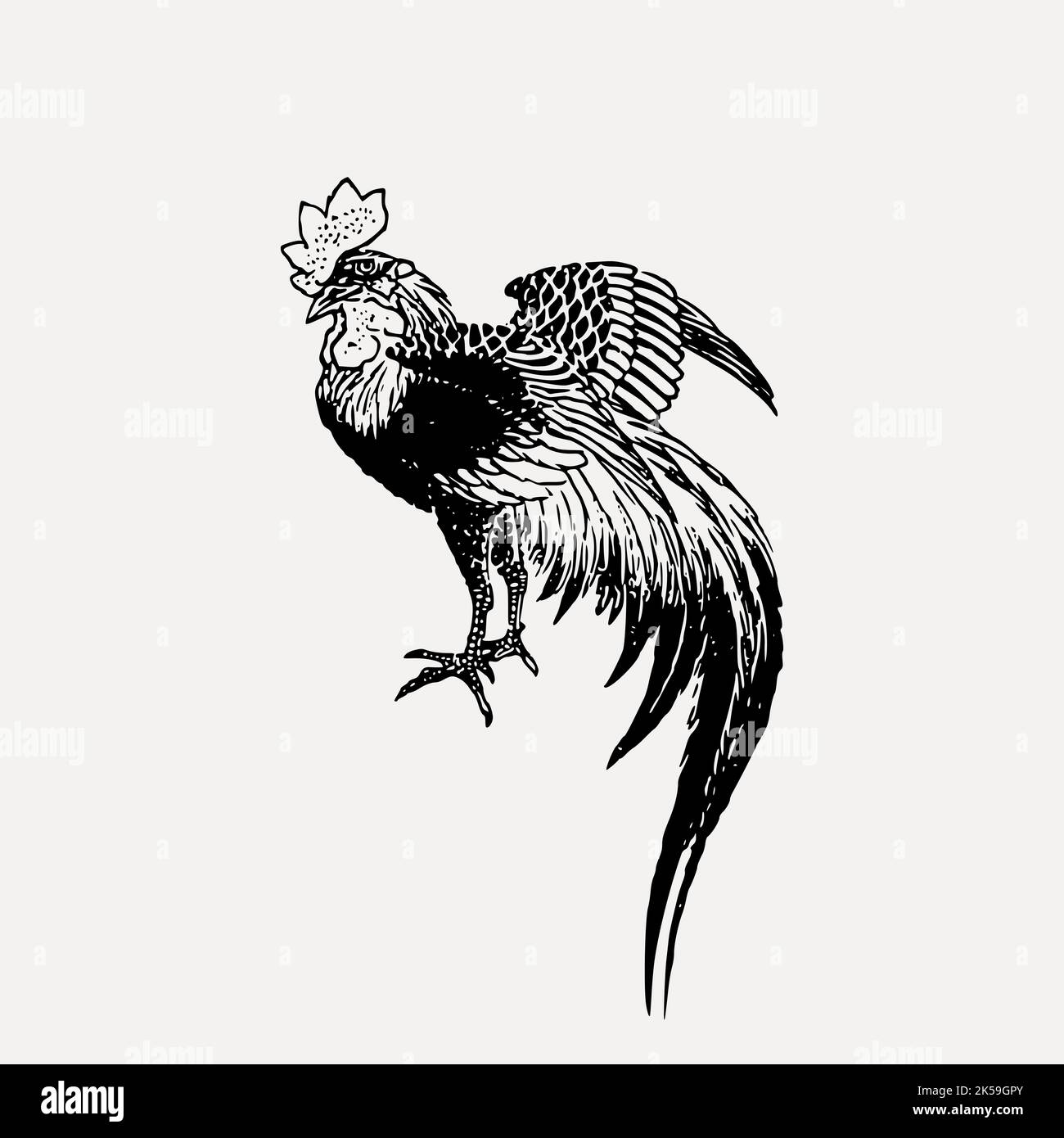 Cockerel bird collage element, animal illustration vector Stock Vector ...