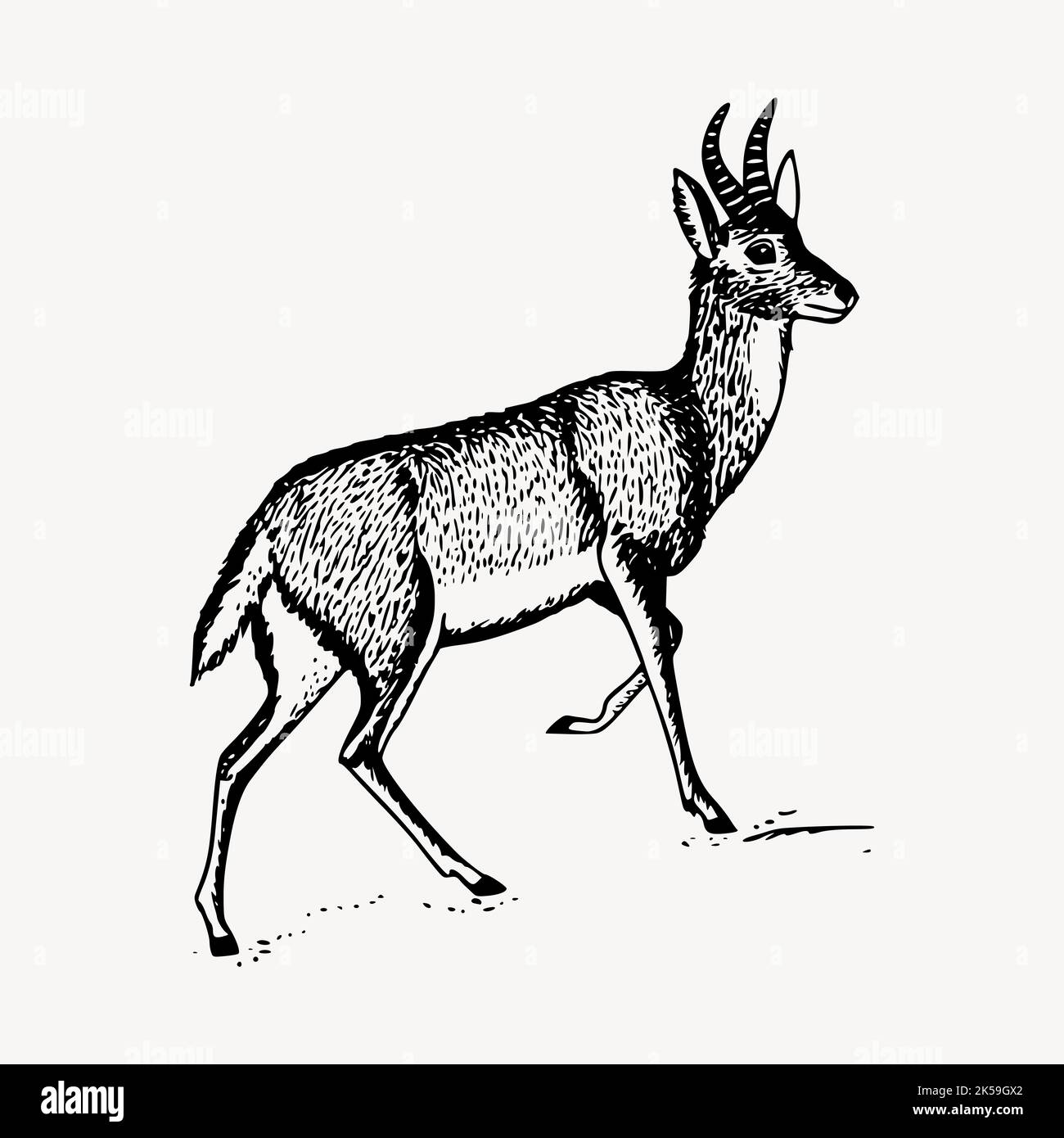 Antelope clipart, vintage hand drawn vector Stock Vector Image & Art ...
