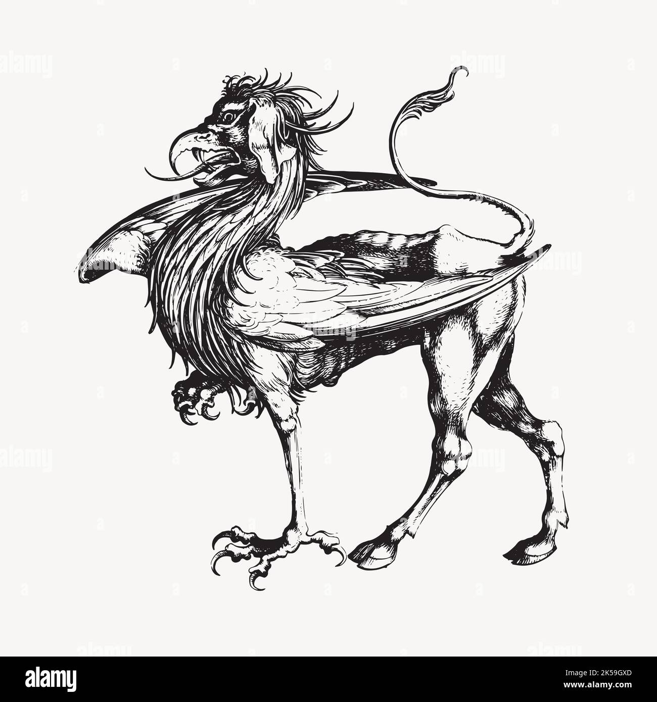 Griffin clipart, vintage hand drawn vector Stock Vector Image & Art - Alamy