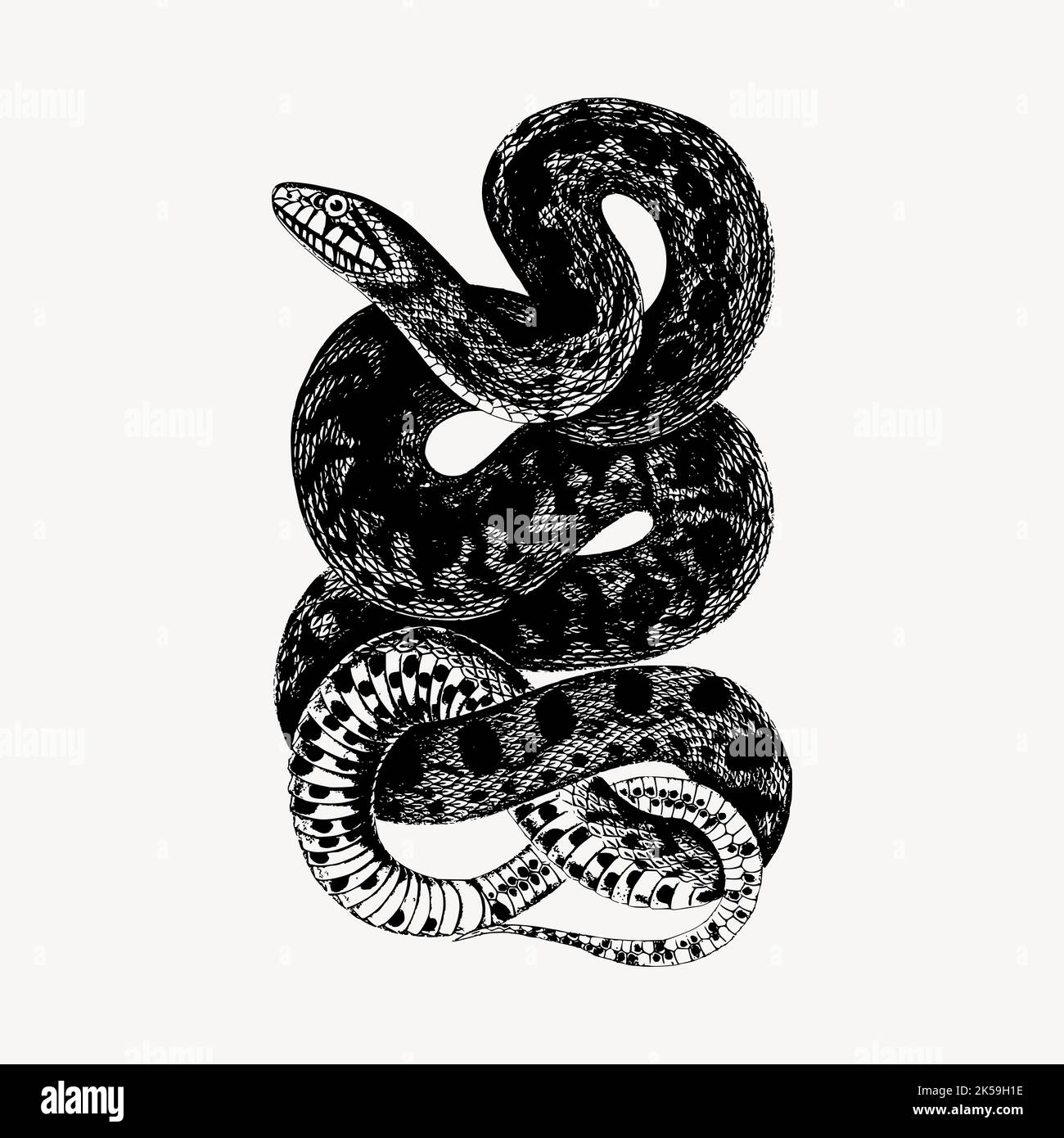 Snake illustration clipart vector Stock Vector Image & Art - Alamy
