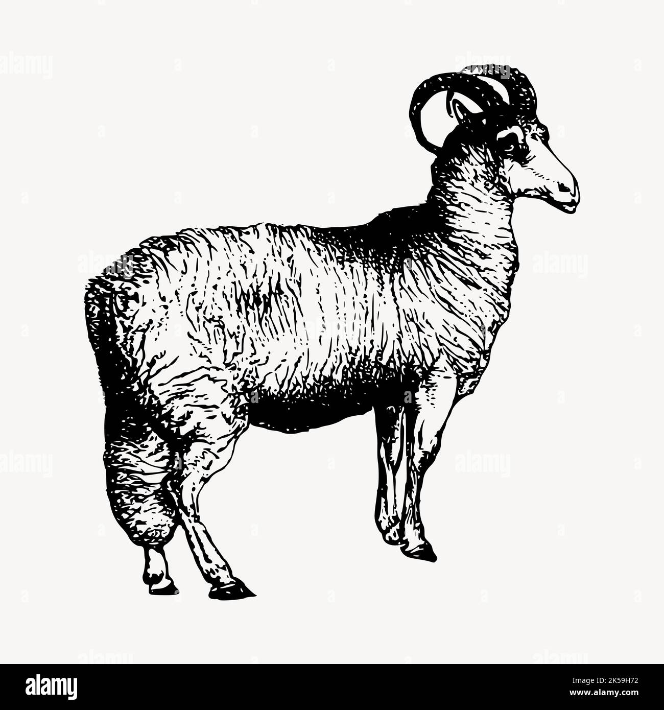 Sheep illustration clipart vector Stock Vector Image & Art - Alamy