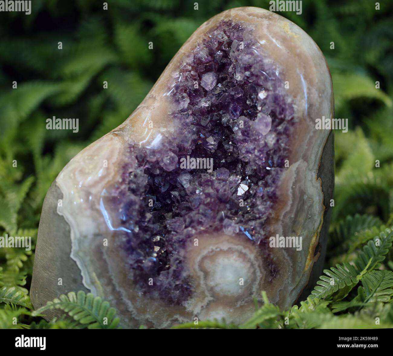 close up of amethyst crystal Stock Photo - Alamy