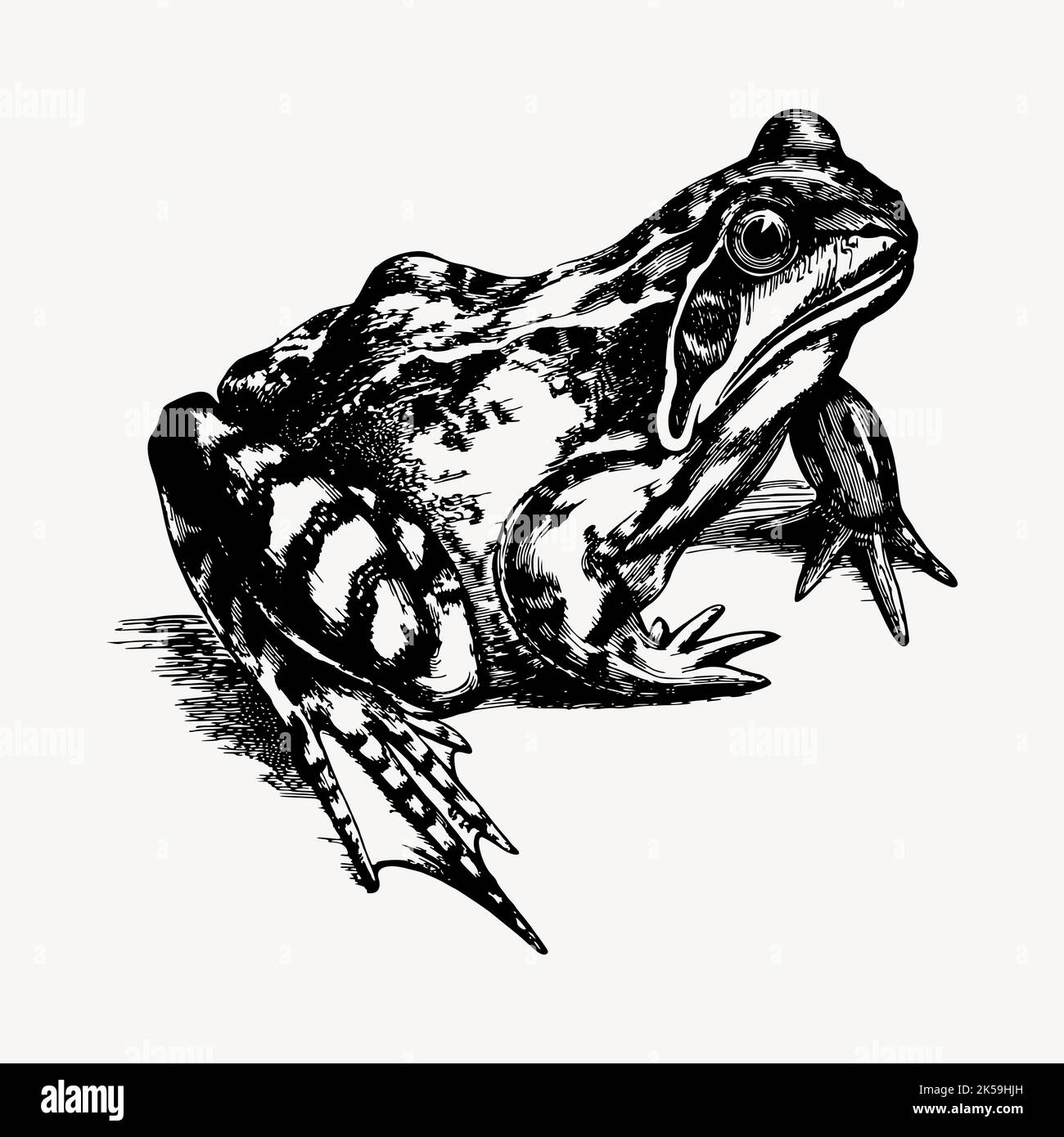 Toad clipart Stock Vector Images - Alamy