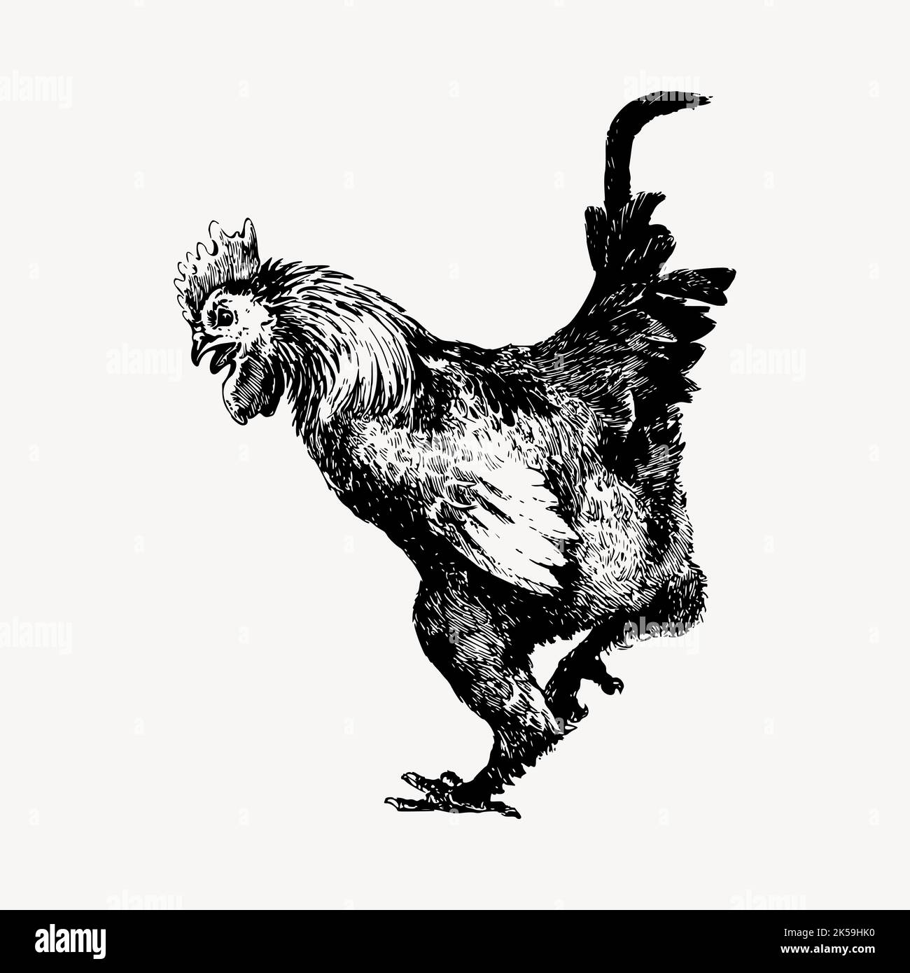 Rooster clipart, vintage hand drawn vector Stock Vector Image & Art - Alamy