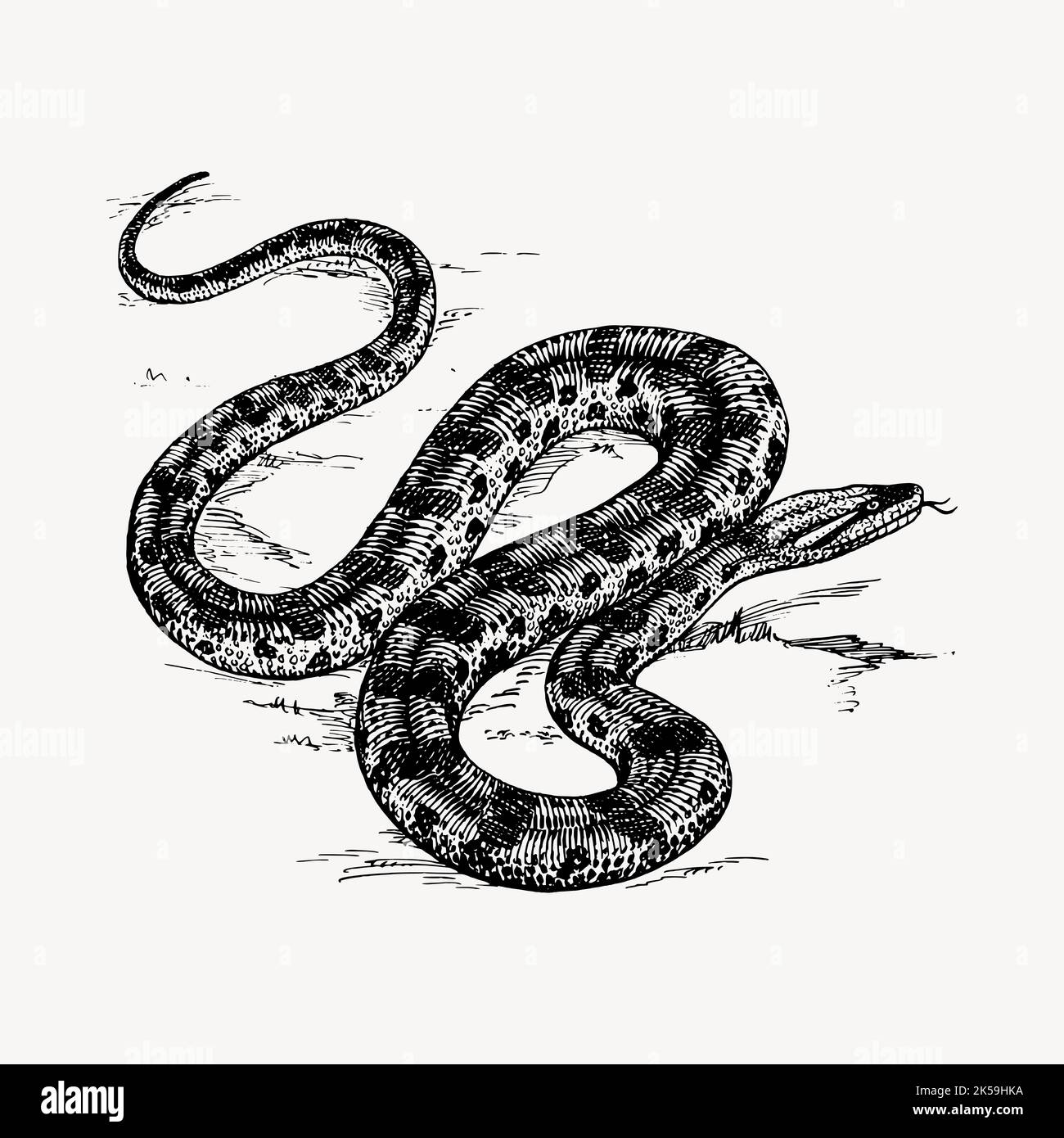 Snake illustration clipart vector Stock Vector Image & Art - Alamy