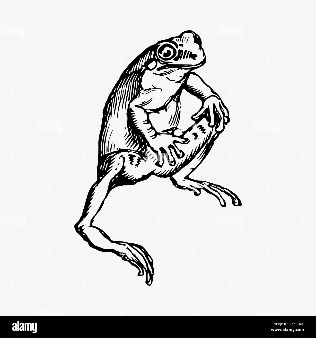 Frog illustration clipart vector Stock Vector Image & Art - Alamy
