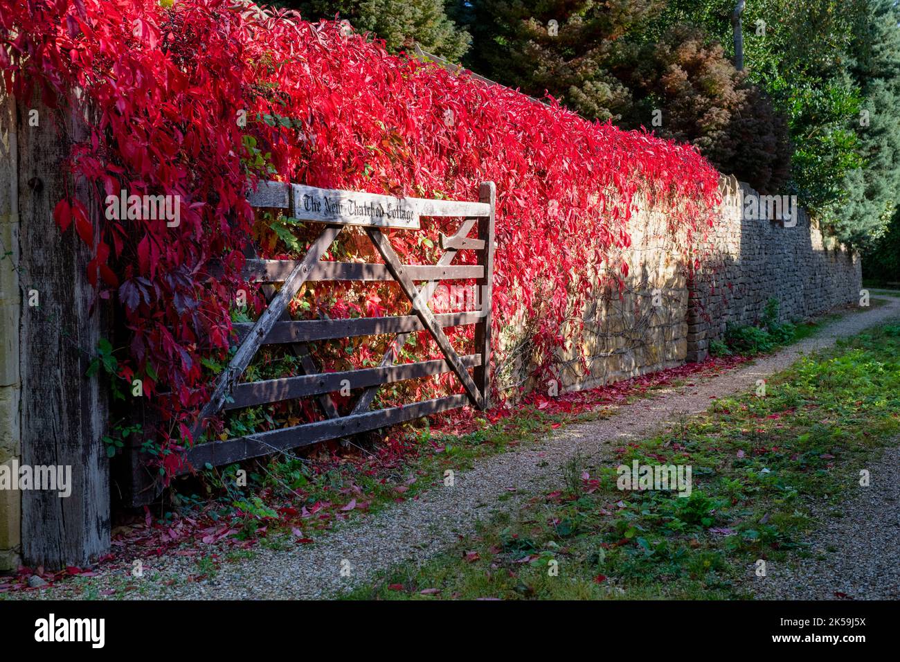 Nine barred gate hi-res stock photography and images - Alamy