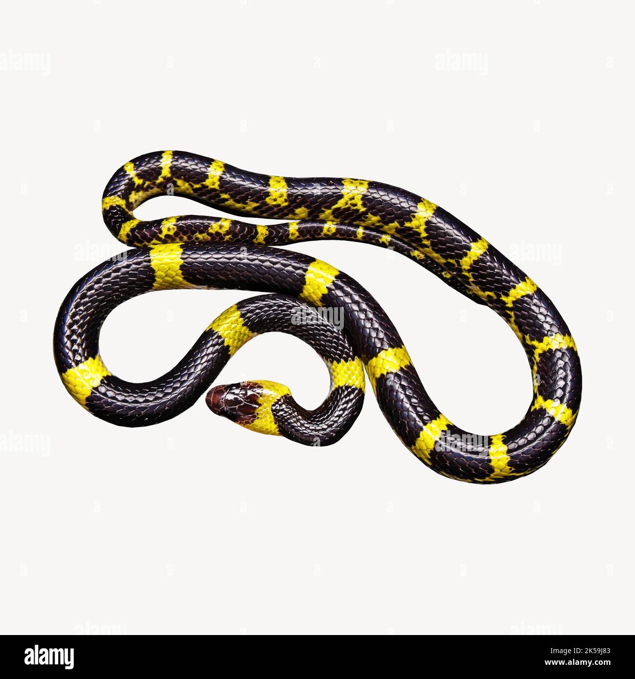 Snake clipart, animal illustration vector Stock Vector Image & Art - Alamy