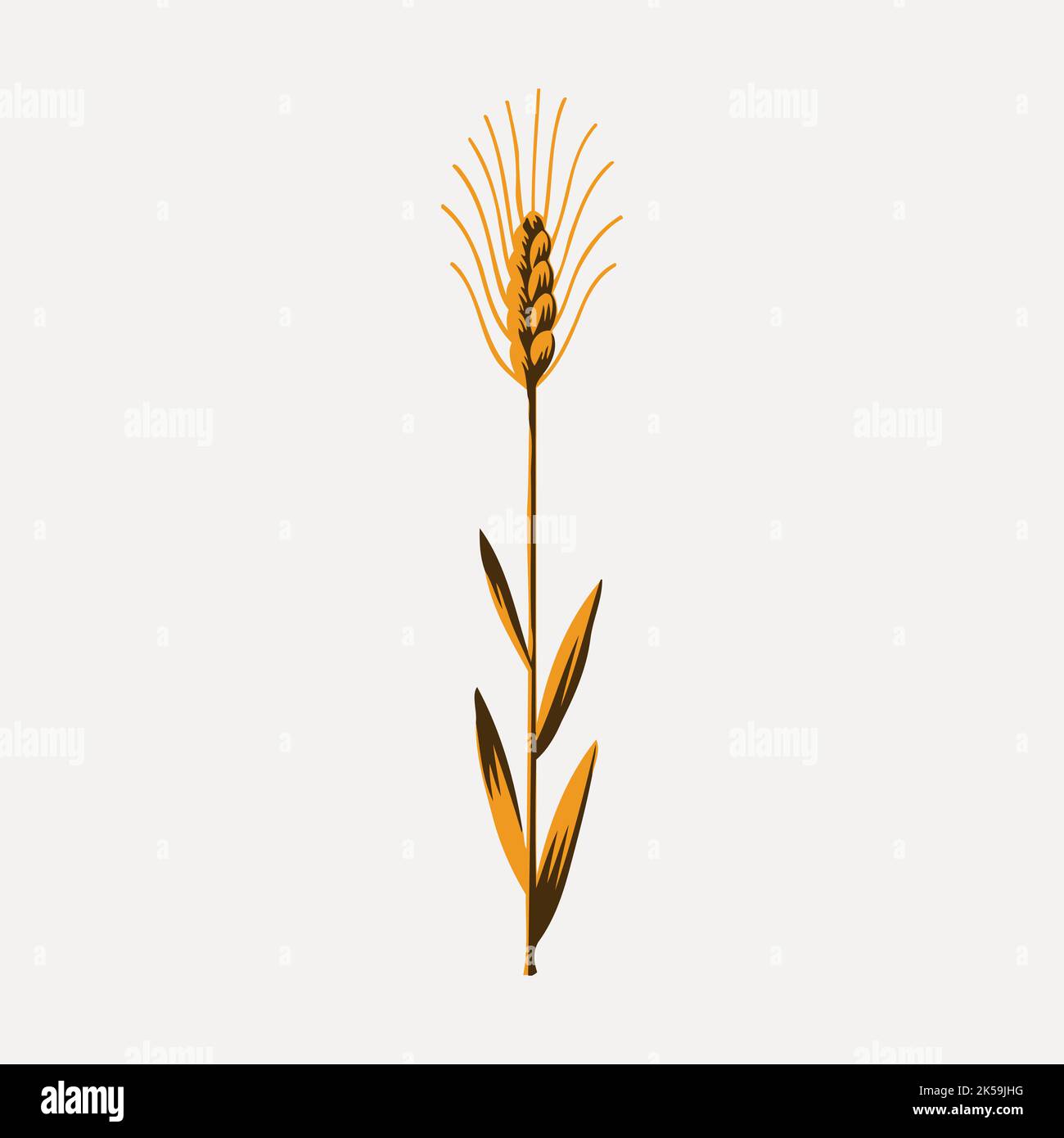 Wheat clipart, vintage plant illustration vector Stock Vector Image ...