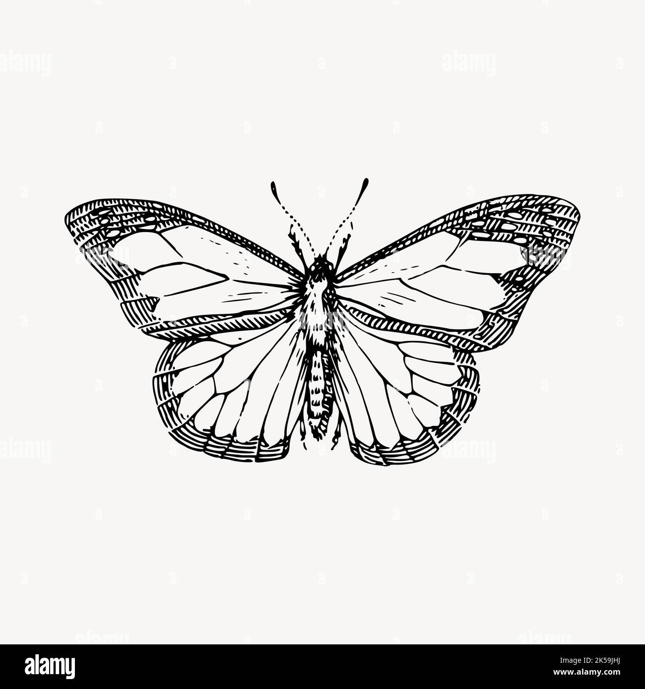 Butterfly clipart, vintage hand drawn vector Stock Vector Image & Art ...