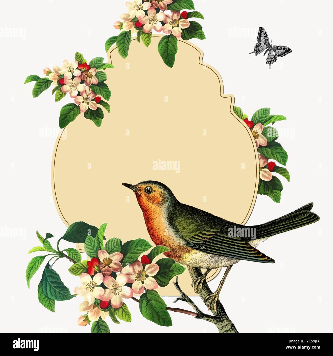 Bird frame clipart, animal illustration vector Stock Vector Image & Art ...