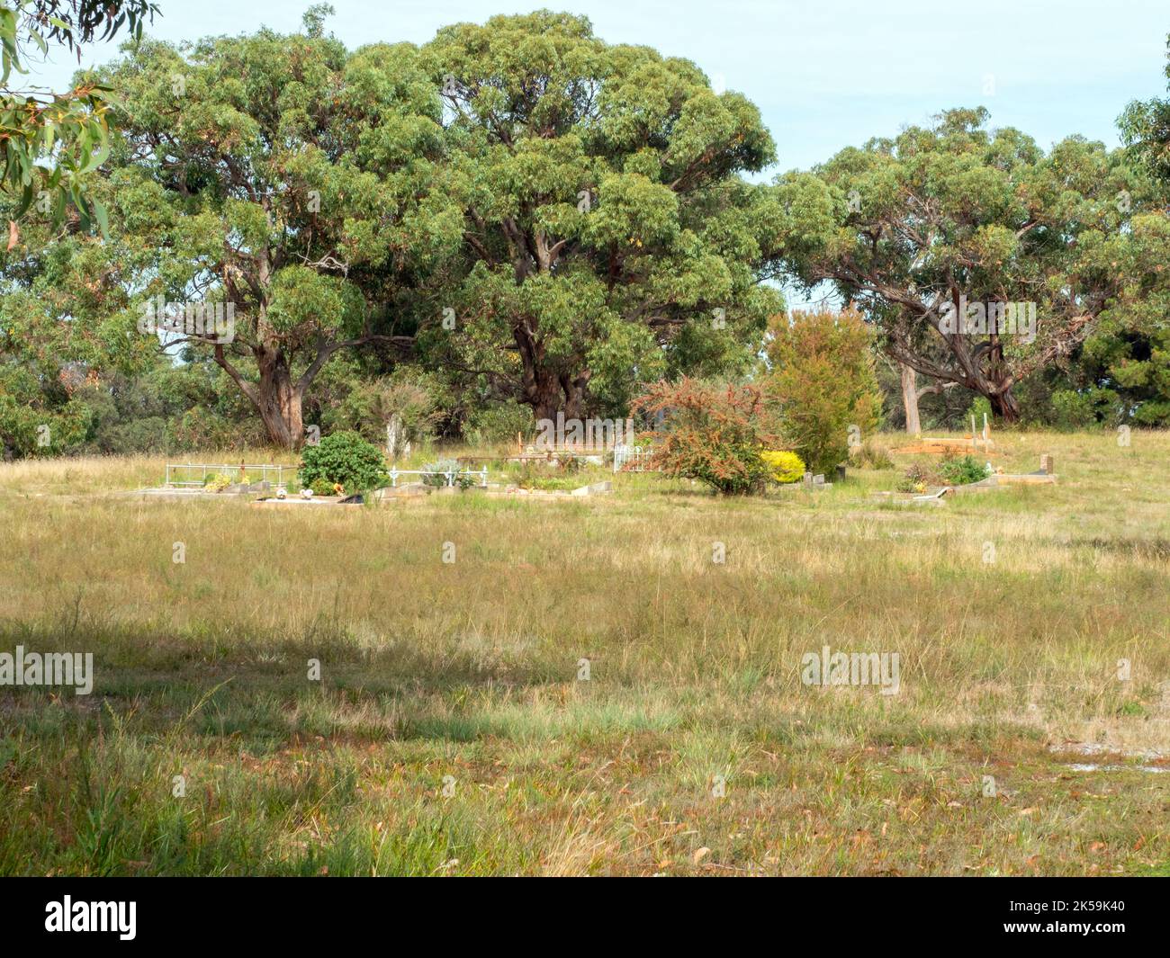 French Island Cemetery, Victoria, Australia Stock Photo - Alamy