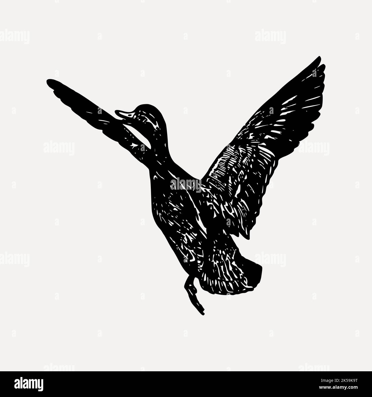 Flying goose drawing Stock Vector Images - Alamy