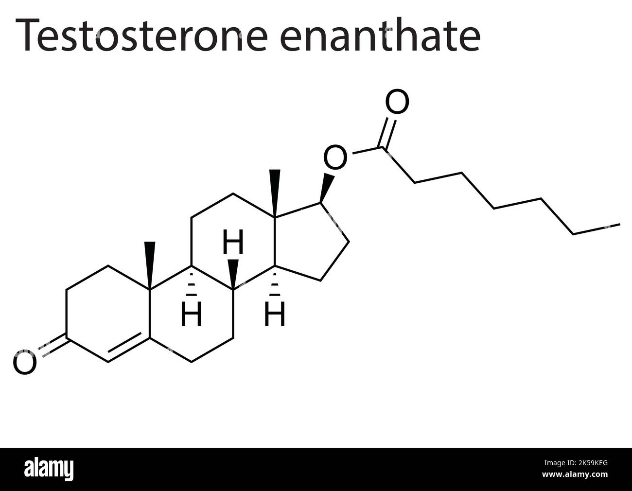 Testosterone Enanthate Skeletal Structure Molecule Vector Editable file ...