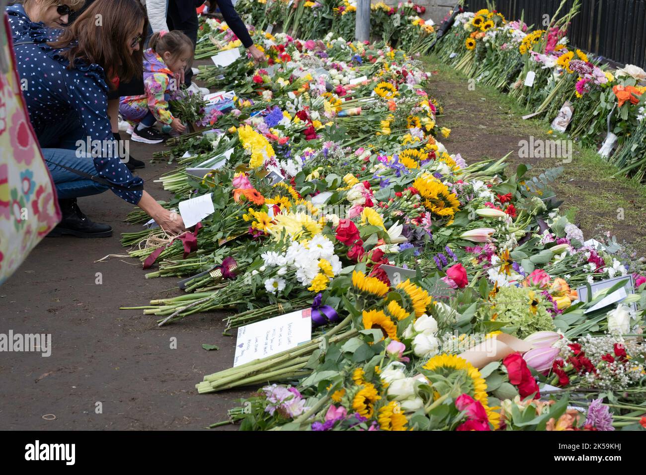 Woman lays flowers at the gates of Windsor Castle in tribute to Queen ...