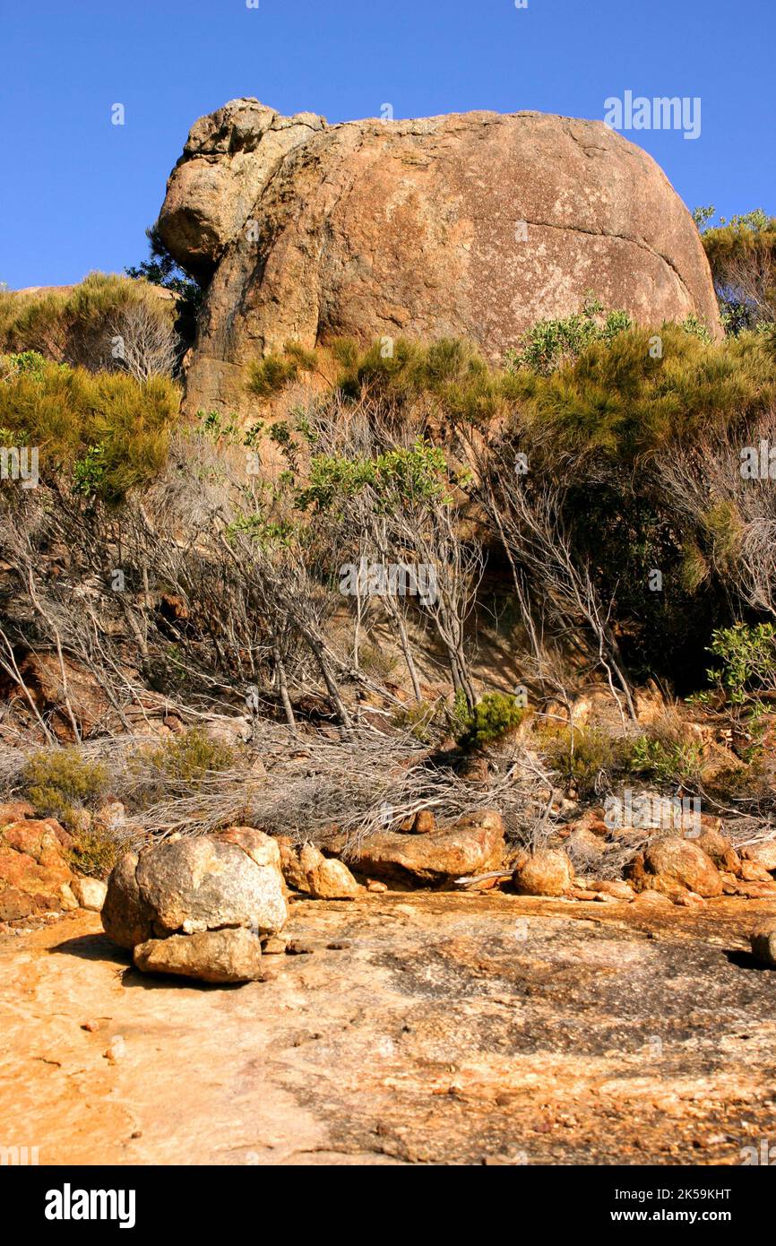 Animal like granite stone figure, Cape Le Grand National Park ...