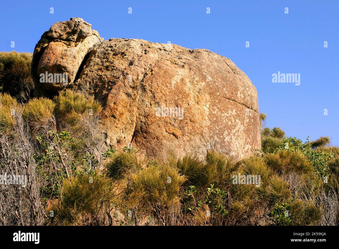 Animal like granite stone figure, Cape Le Grand National Park ...