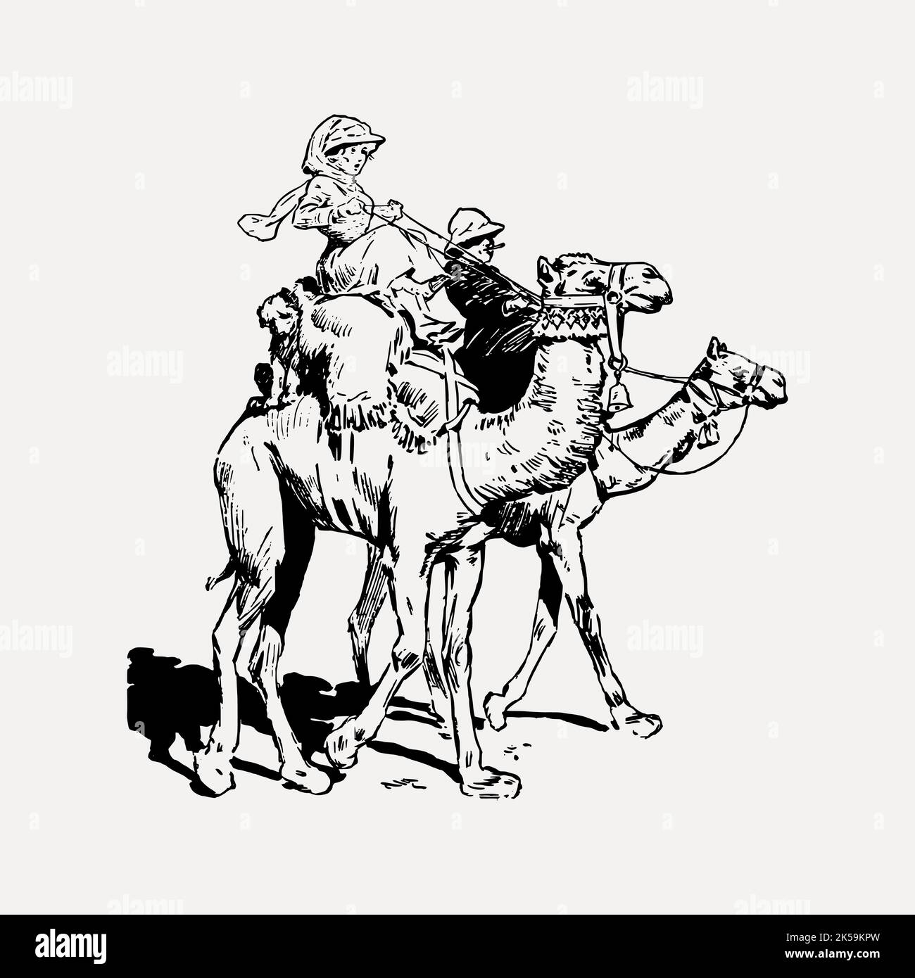Camel riders drawing, vintage animal illustration vector Stock Vector ...
