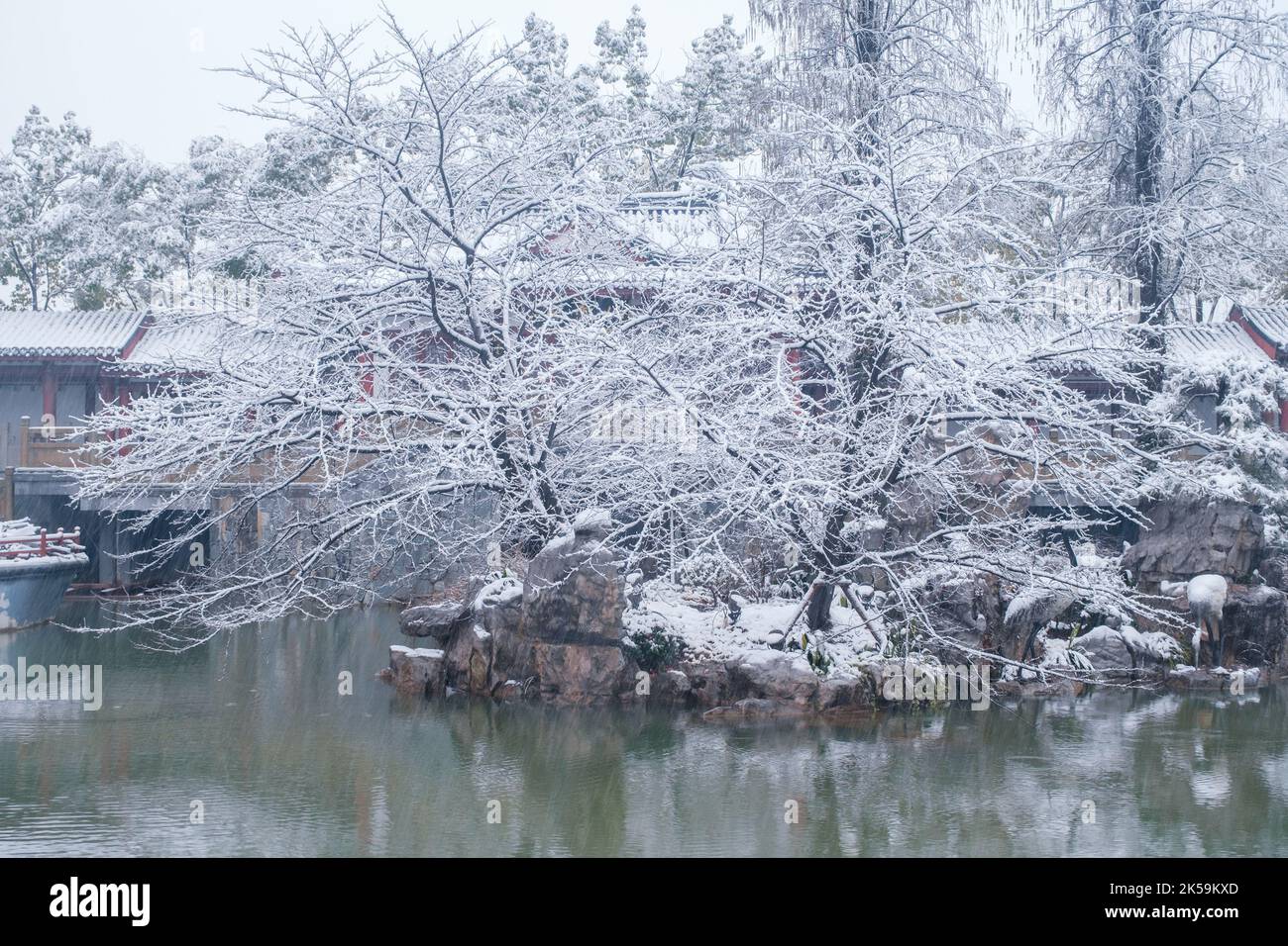 Winter snow scene in Moshan Scenic Area, East Lake, Wuhan, Hubei Stock ...