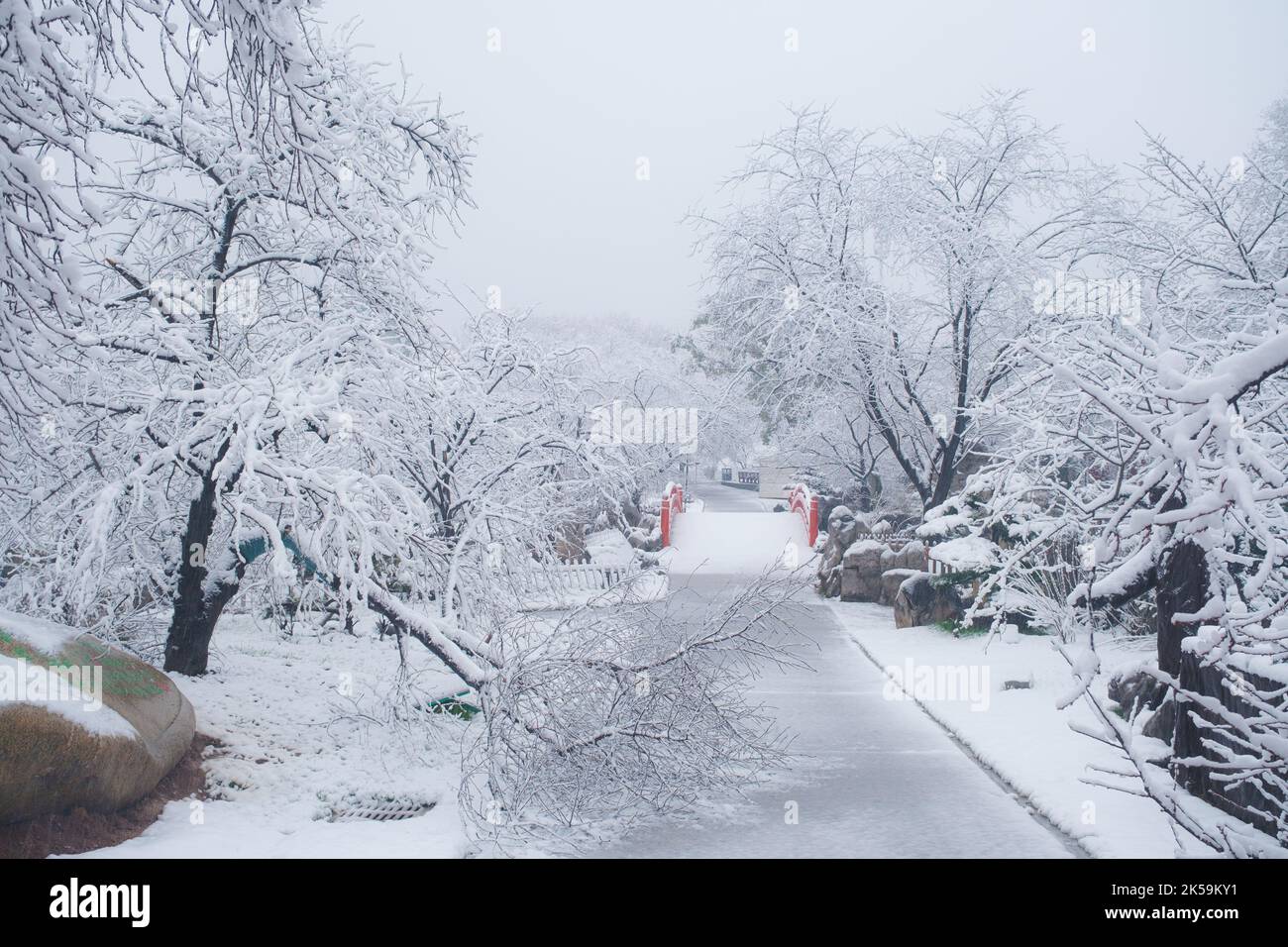 Winter snow scene in Moshan Scenic Area, East Lake, Wuhan, Hubei Stock ...
