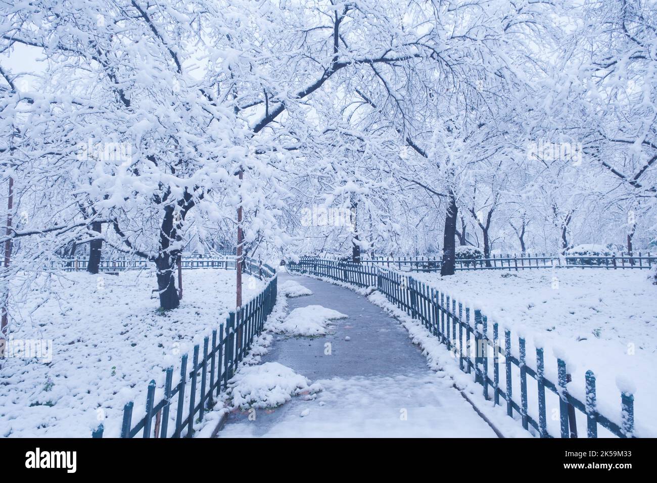 Winter snow scene in Moshan Scenic Area, East Lake, Wuhan, Hubei Stock ...