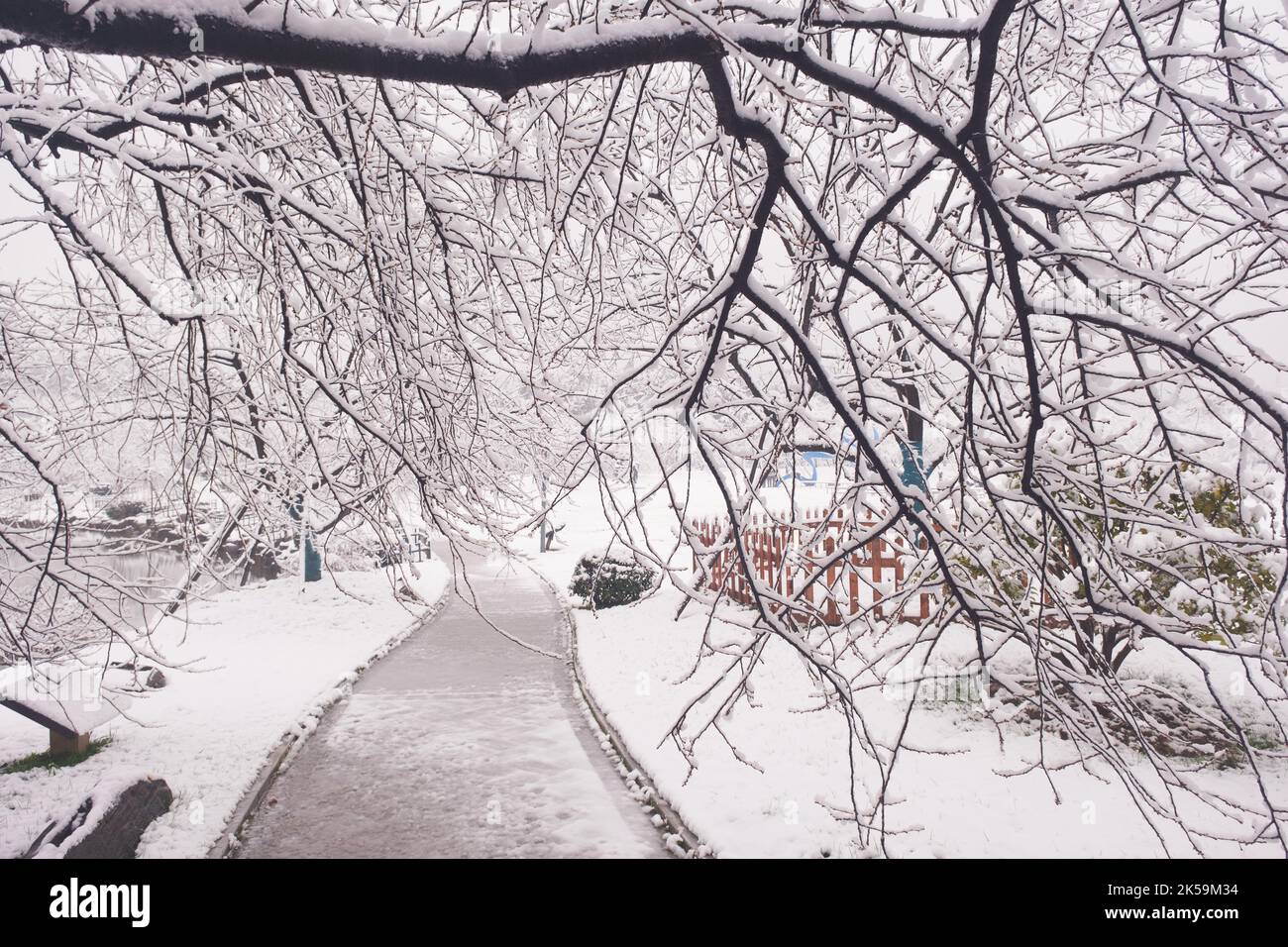 Winter snow scene in Moshan Scenic Area, East Lake, Wuhan, Hubei Stock ...