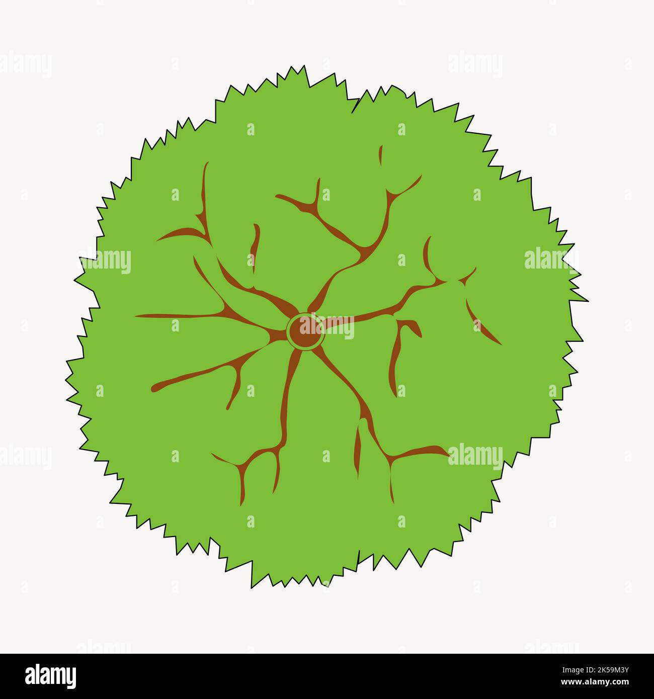 Tree top view clipart, botanical illustration vector Stock Vector Image ...