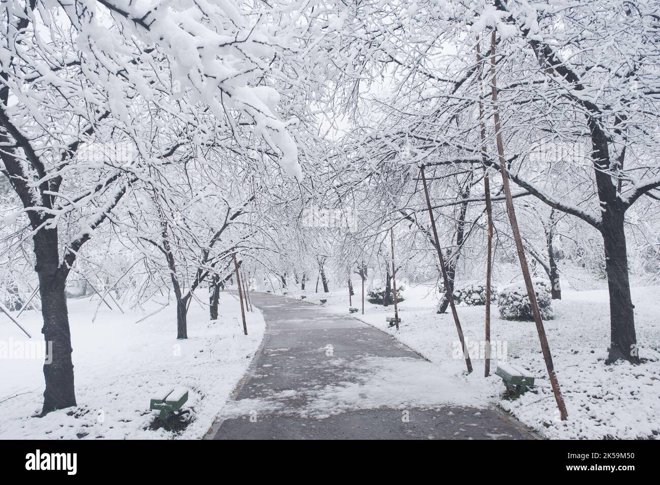 Winter snow scene in Moshan Scenic Area, East Lake, Wuhan, Hubei Stock Photo - Alamy