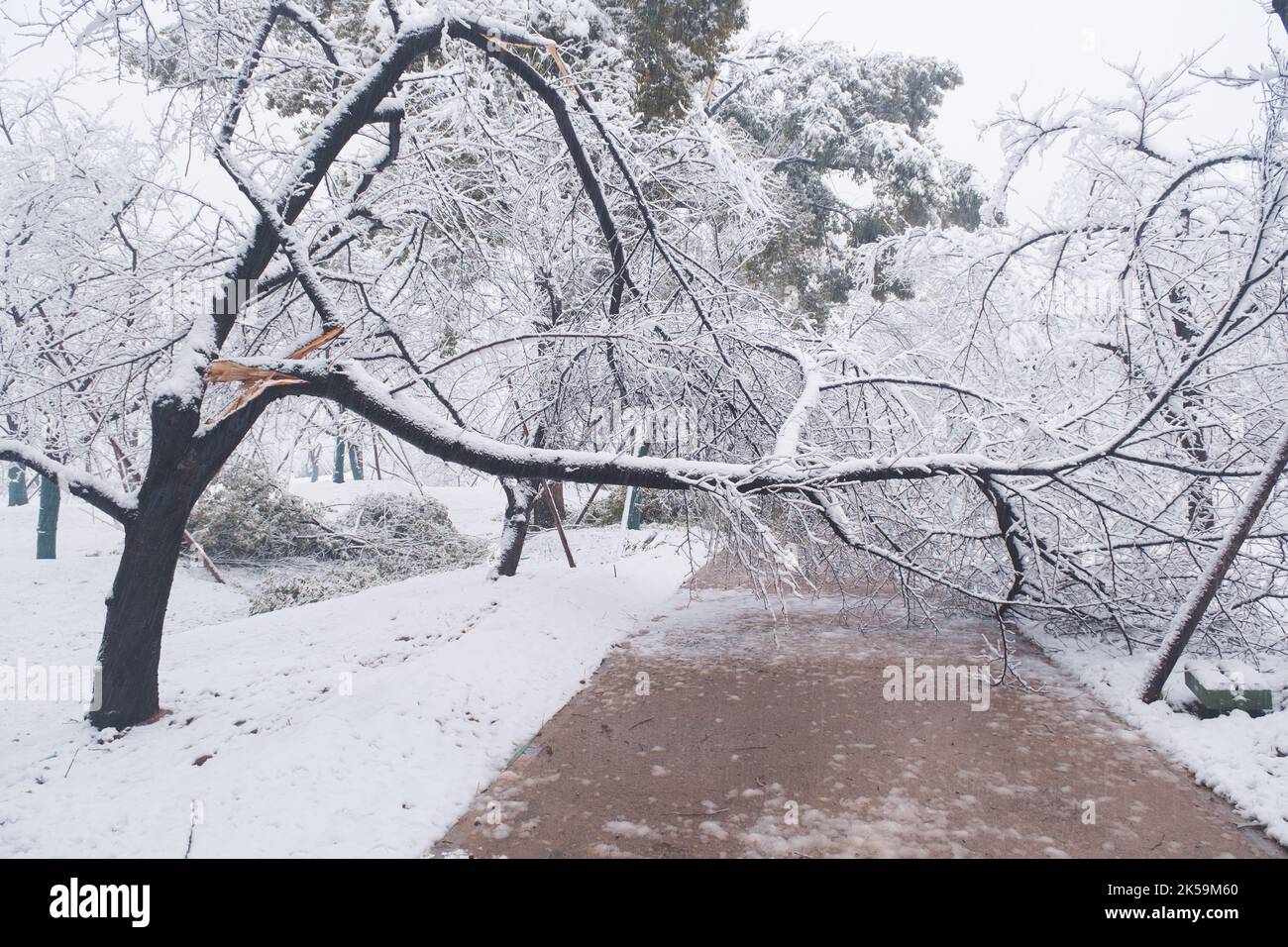 Winter snow scene in Moshan Scenic Area, East Lake, Wuhan, Hubei Stock ...