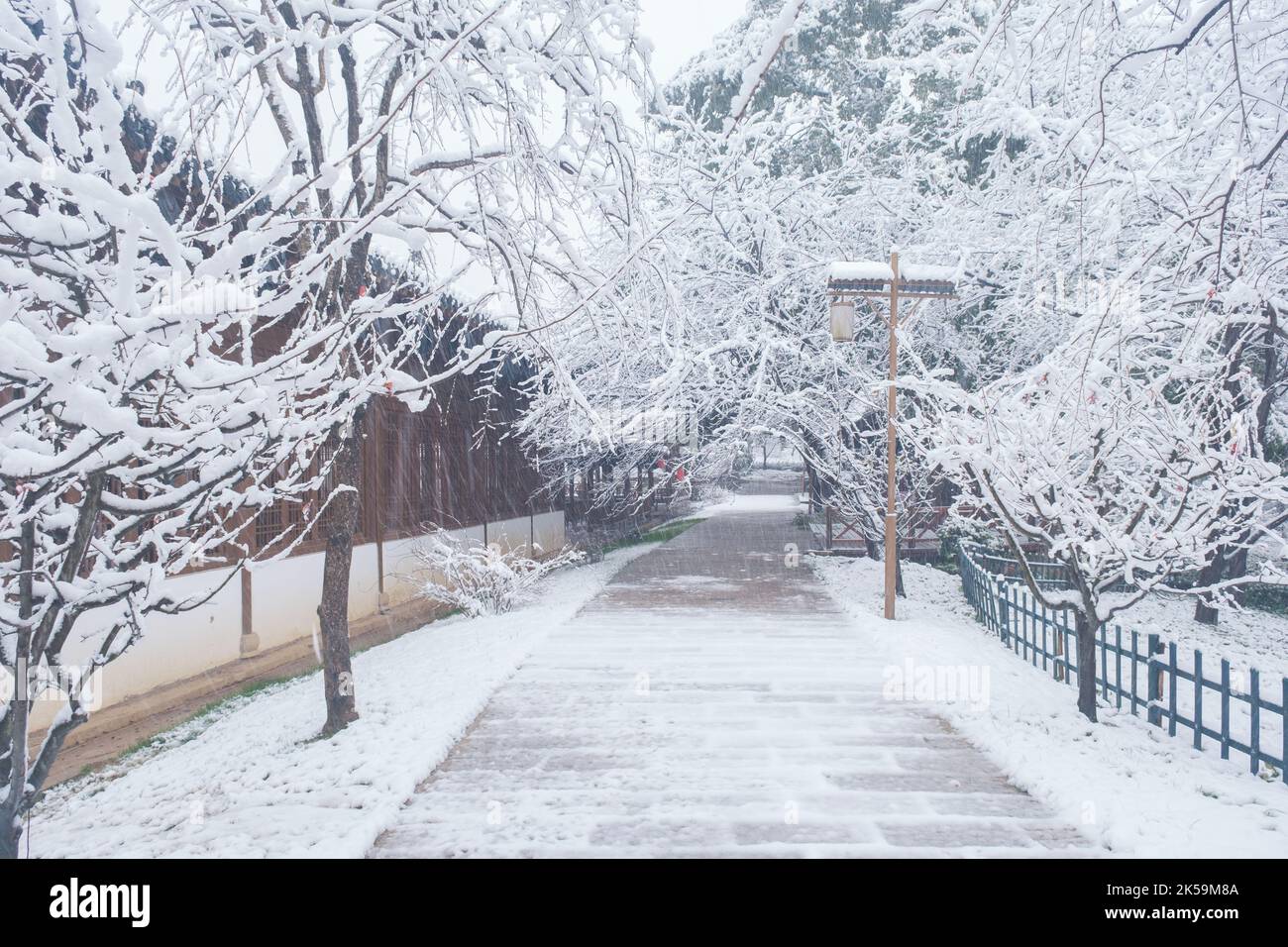 Winter snow scene in Moshan Scenic Area, East Lake, Wuhan, Hubei Stock ...