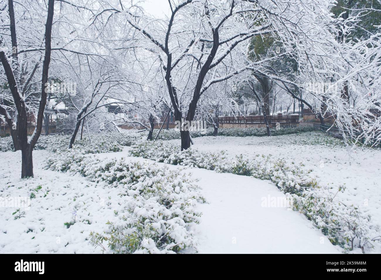 Winter snow scene in Moshan Scenic Area, East Lake, Wuhan, Hubei Stock ...