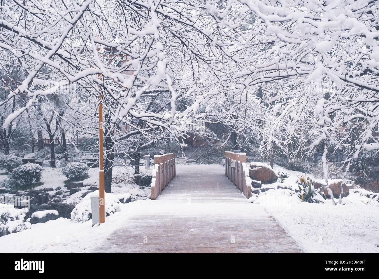 Winter snow scene in Moshan Scenic Area, East Lake, Wuhan, Hubei Stock ...